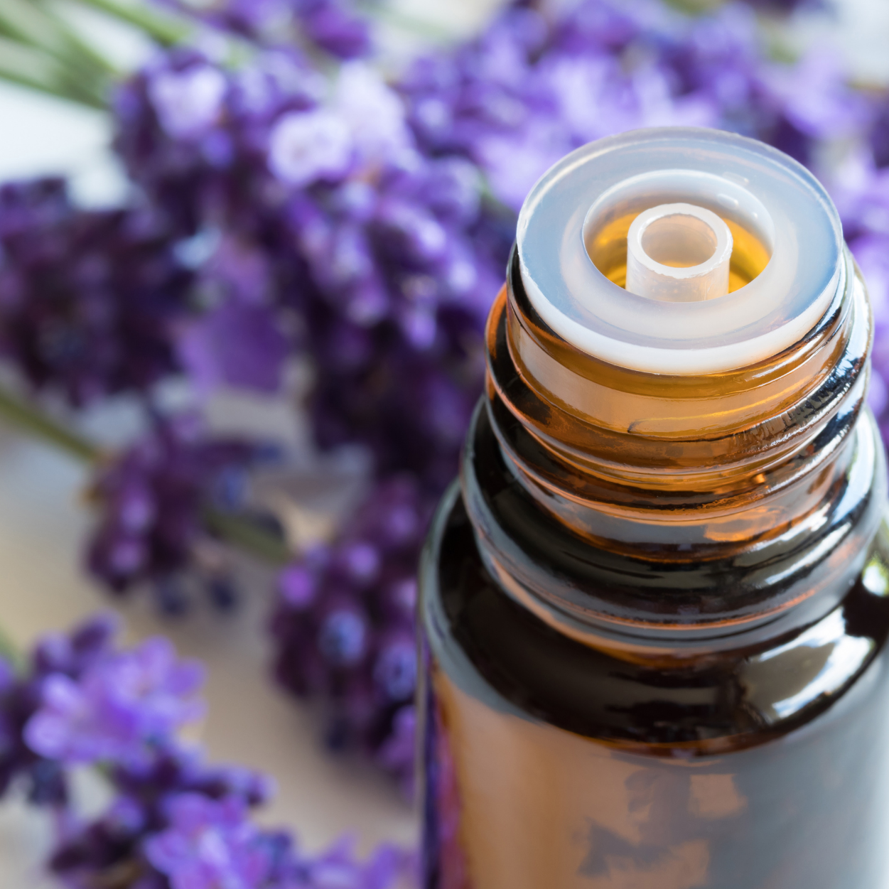 Lavender Oil Benefits for Hair: Scalp to Stronger Strands – MIMANE GLOW
